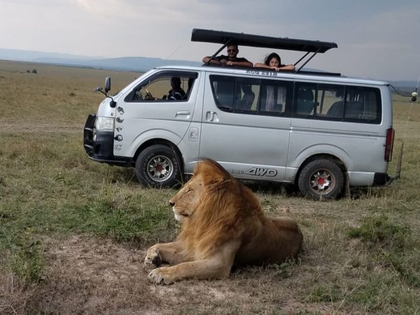 Safari Mini Van With/Without Pop Up Roof & Driver Guide